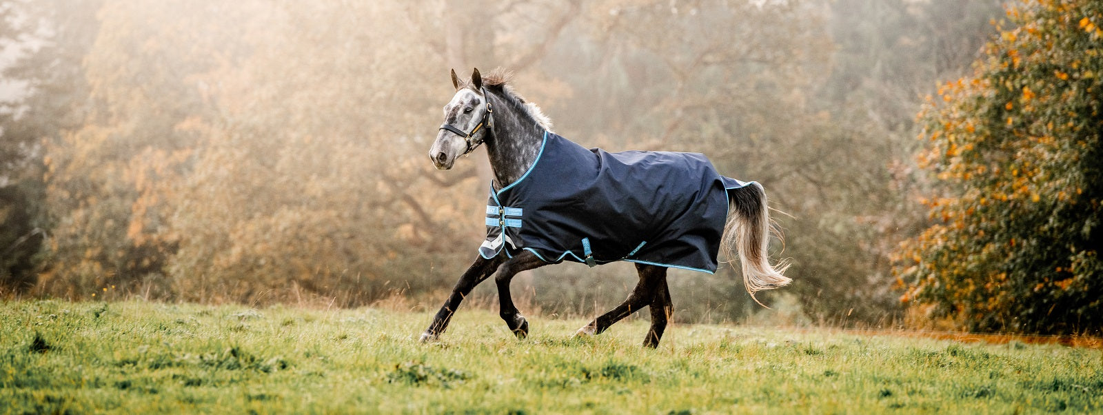 Summerside Tack and Equestrian Wear