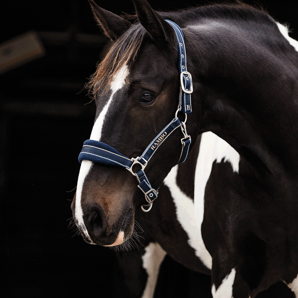Horseware Rambo Padded Halter - Summerside Tack and Equestrian Wear