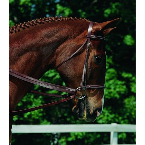 Cavalier Imperial Leather Draw Rein - Summerside Tack and Equestrian Wear